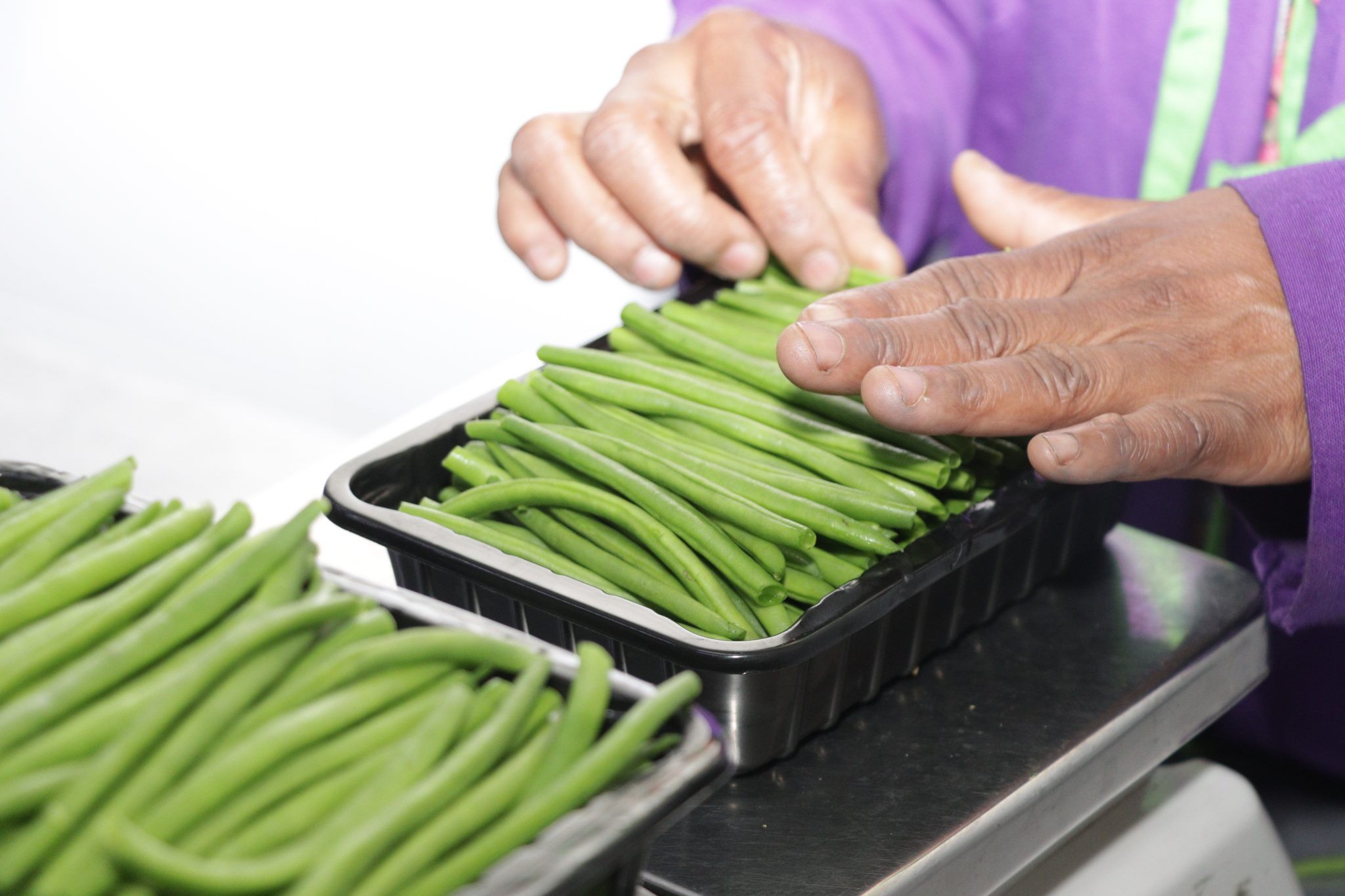 Jade Fresh Limited – the Quality Choice